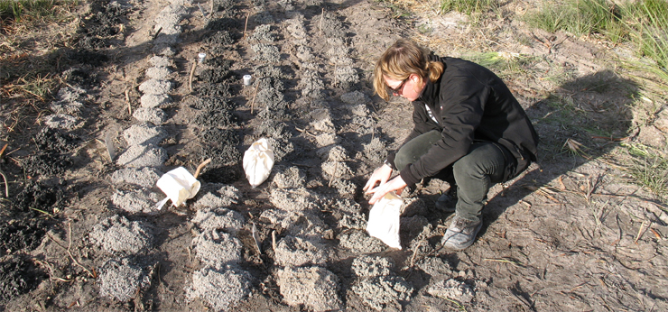 femalelogging - IAH - The International Association of Hydrogeologists